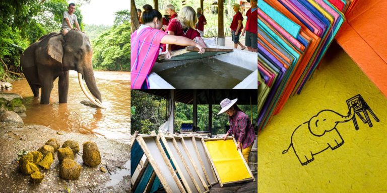 WALK WITH ELEPHANTS - Eco-travel at Elephant EcoValley in Thailand